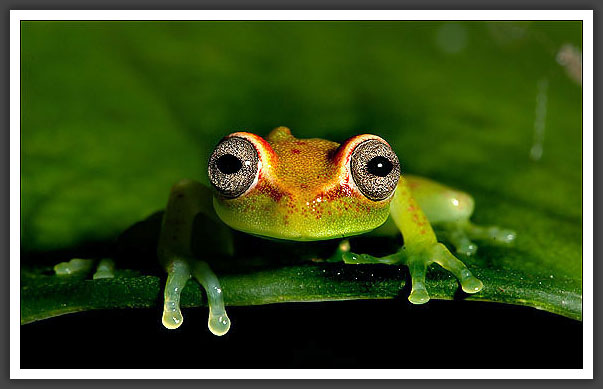 Ralf Darius - Photography - Portfolio